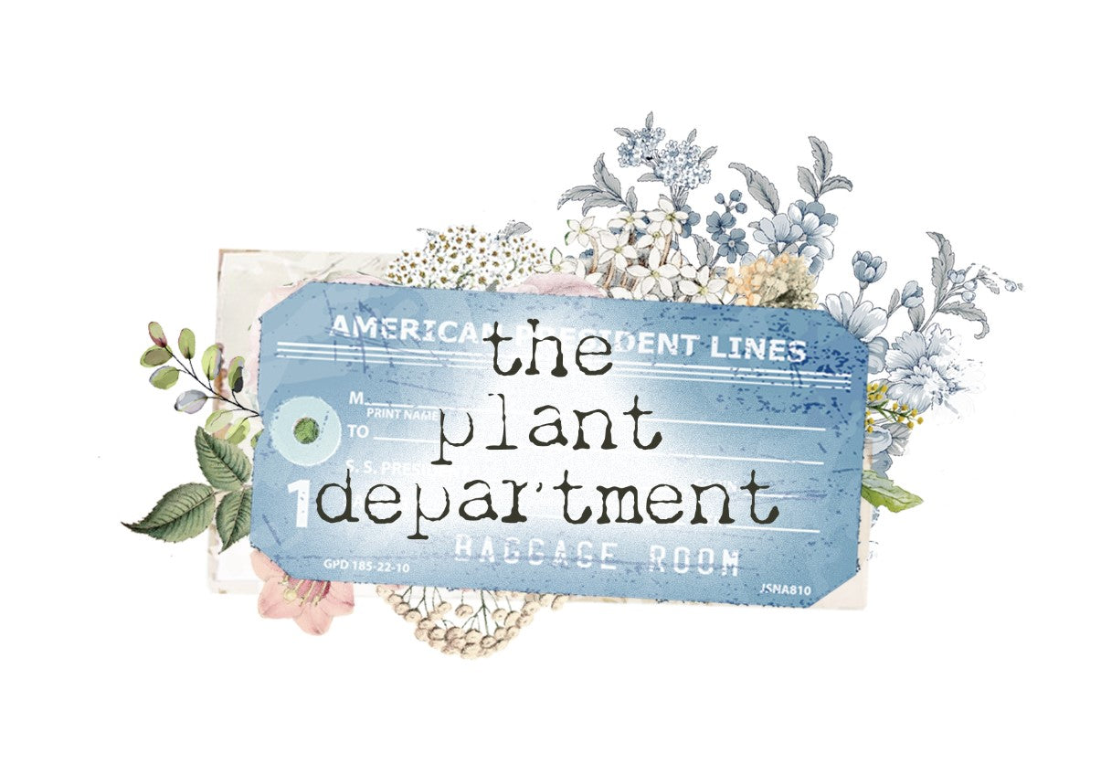 Prima - The plant department